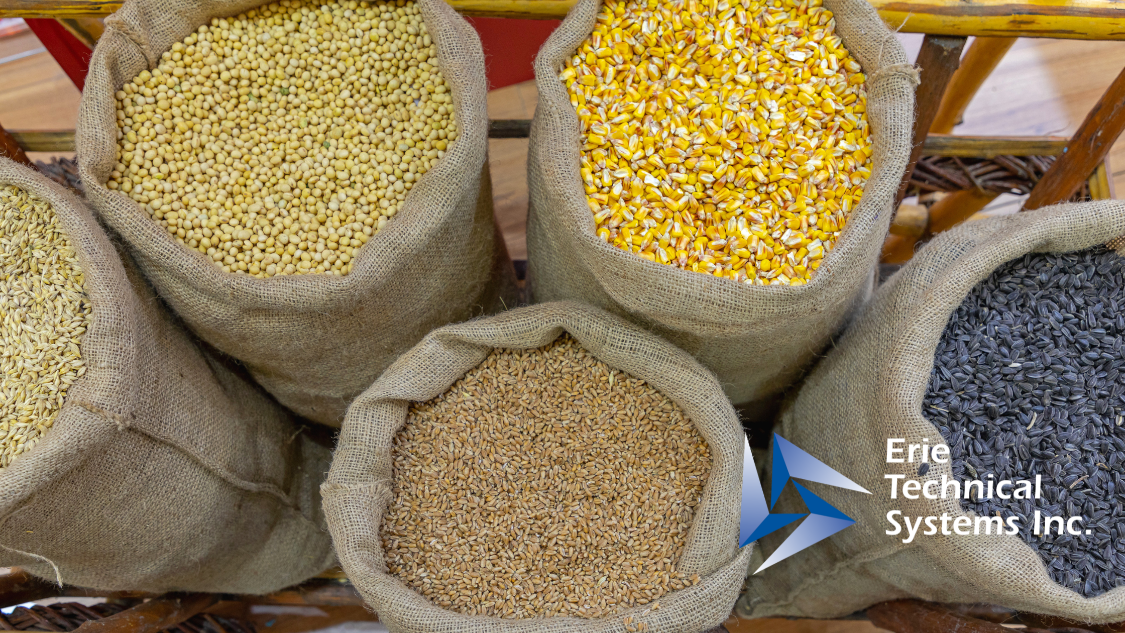 Bulk Material Handling Solutions for the Food Industry - Erie Technical ...